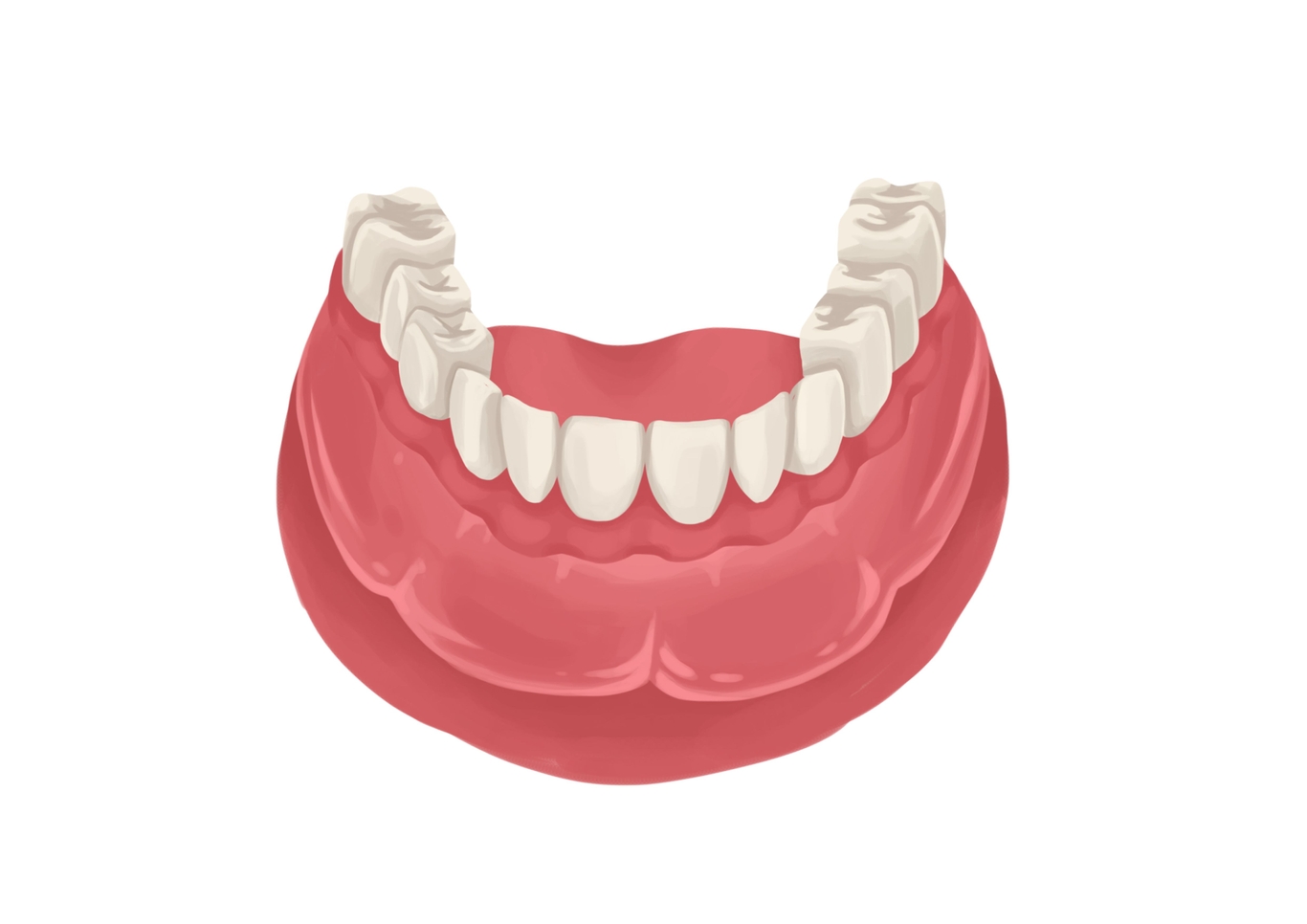 What are the most common lower dentures problems? | Authority Dental